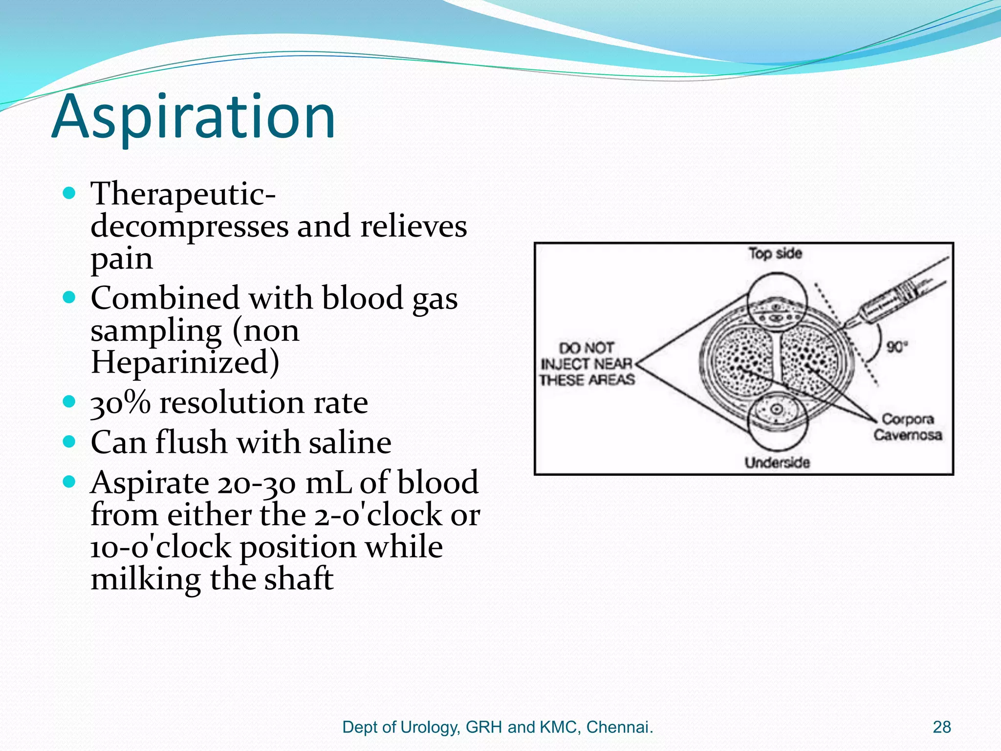 Penis priapism | PDF