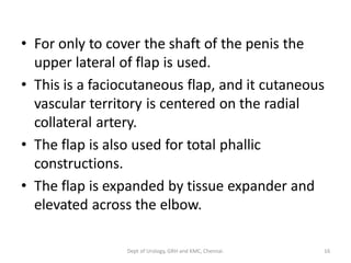 Penis total penile reconstruction | PDF