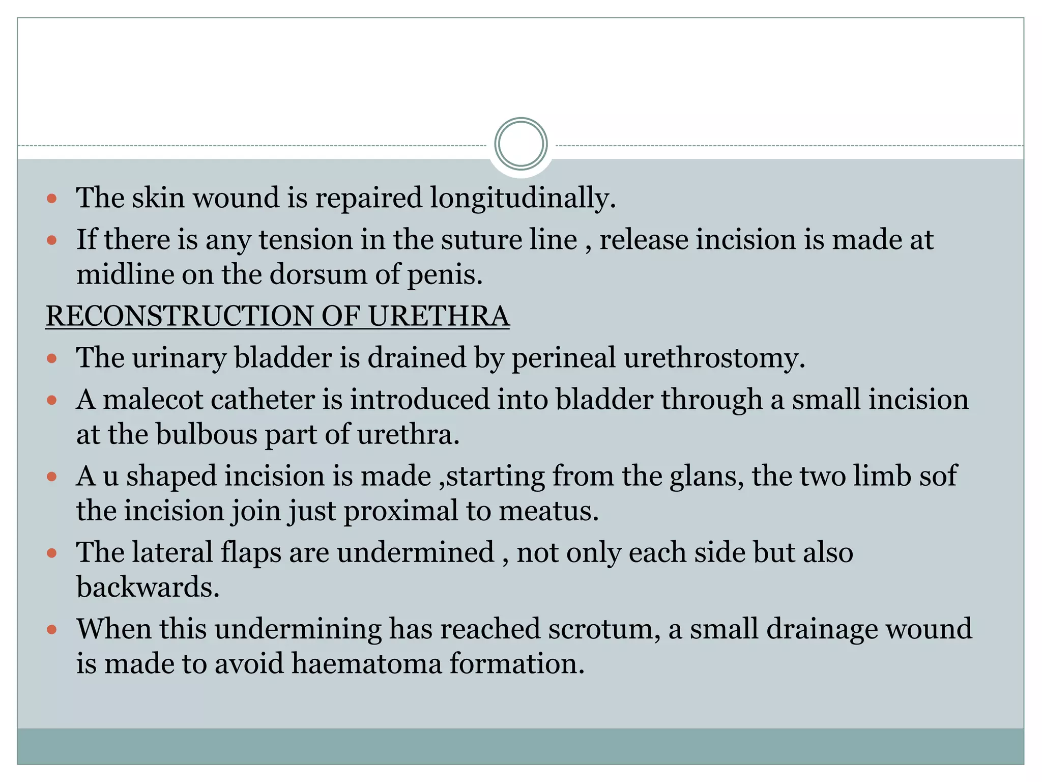 Penis & disorders | PPTX