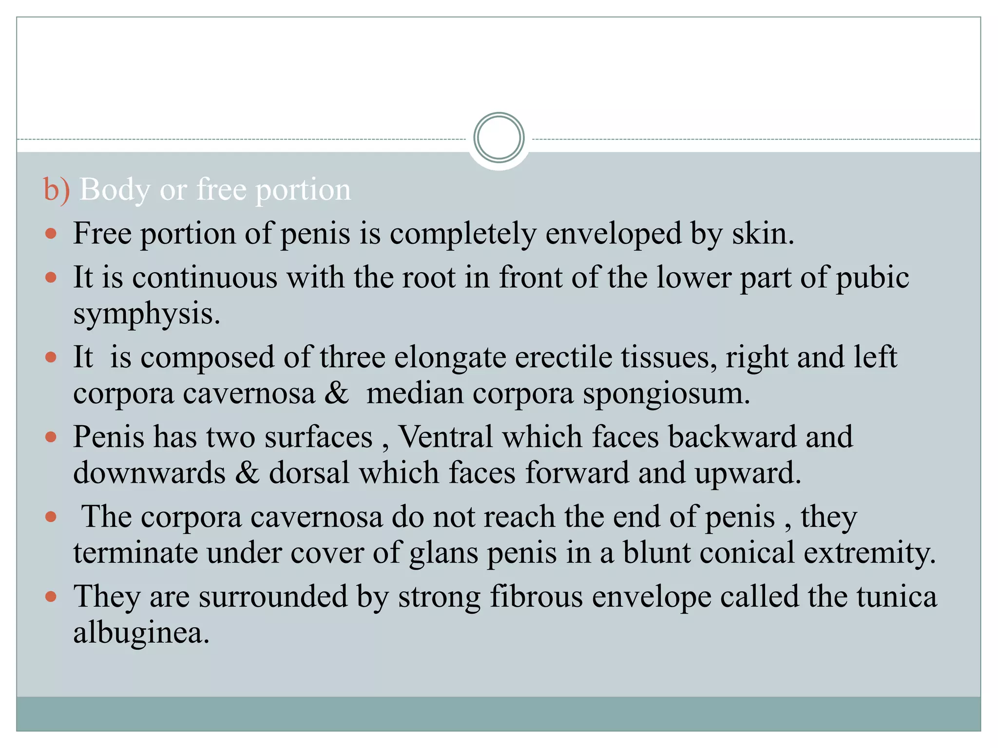 Penis & disorders | PPTX