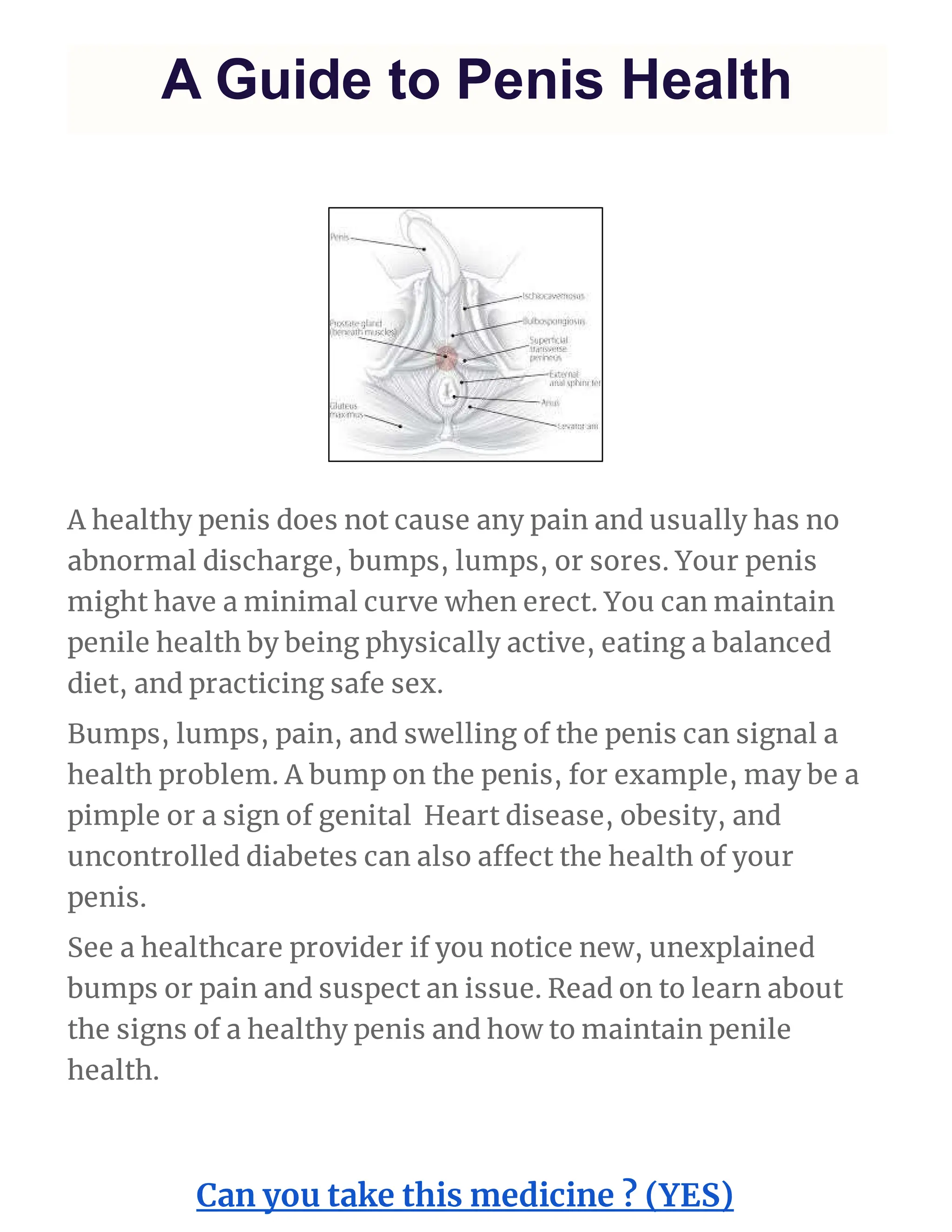 Penis Health Medicine Cream Oil Pdf