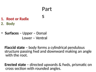 penis pp namaste namaste namaste namaste namaste namaste namaste | PPTX
