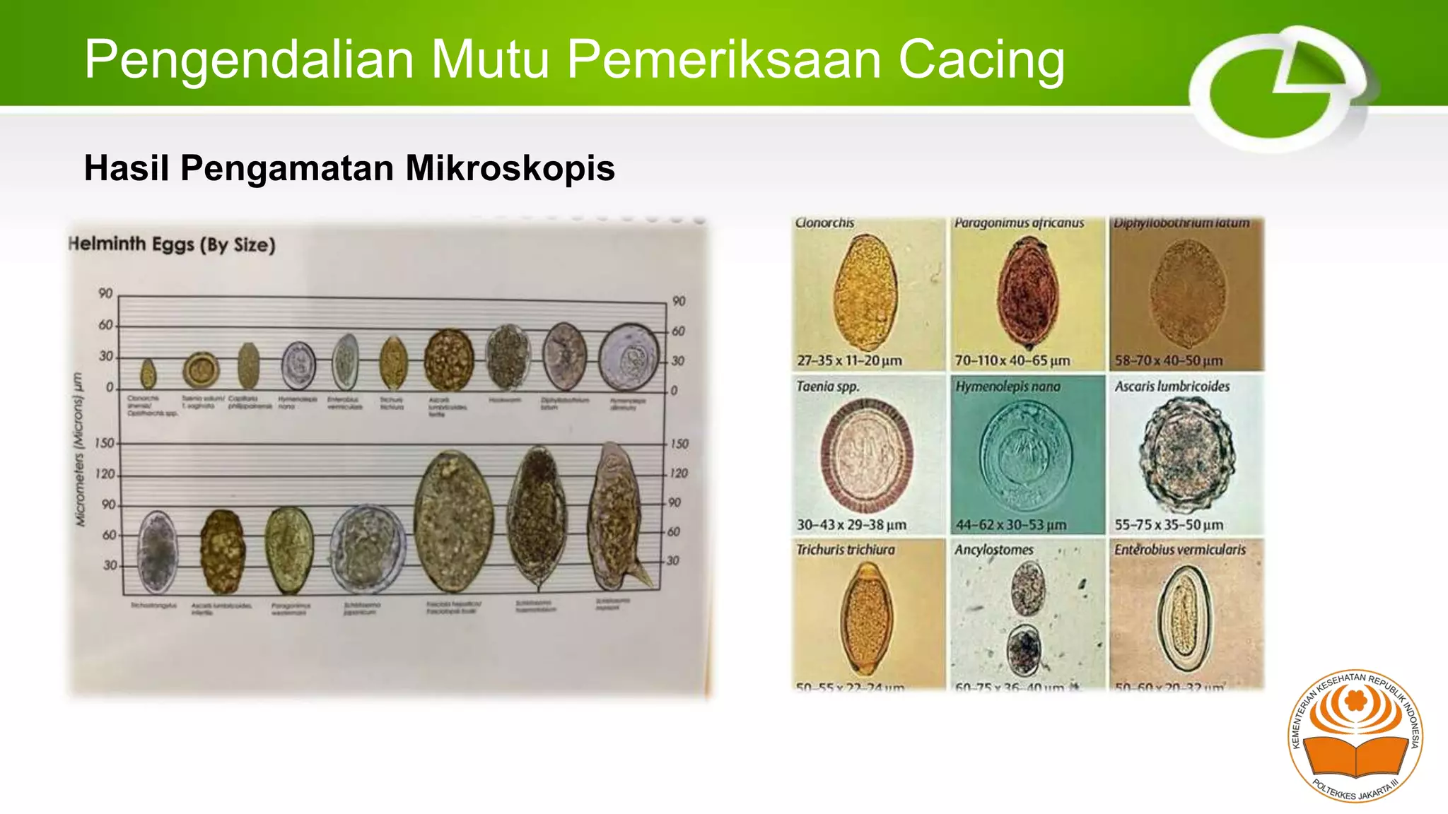 PENJAMINAN MUTU PEM TELUR CACING KELOMPOK 1.pptx