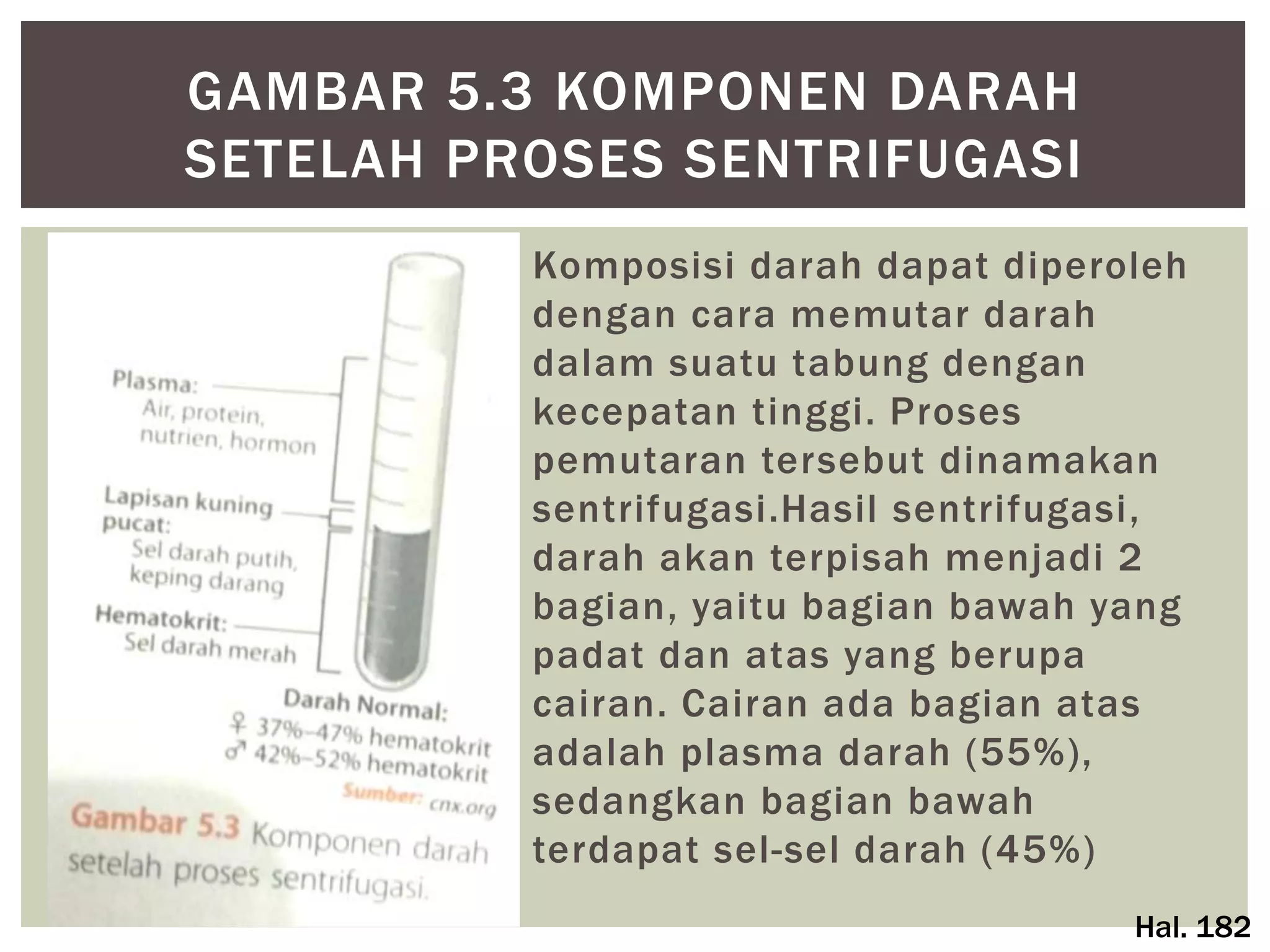 Penjelasan gambar bab 5 sirkulasi darah | PPTX