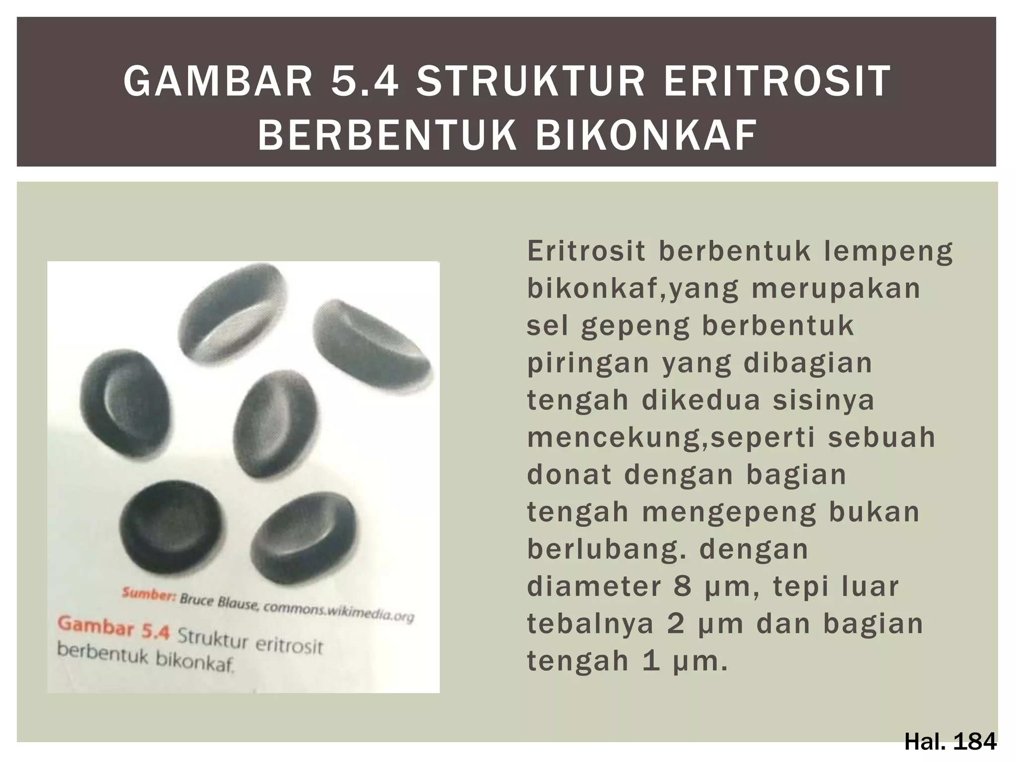 Penjelasan gambar bab 5 sirkulasi darah | PPTX