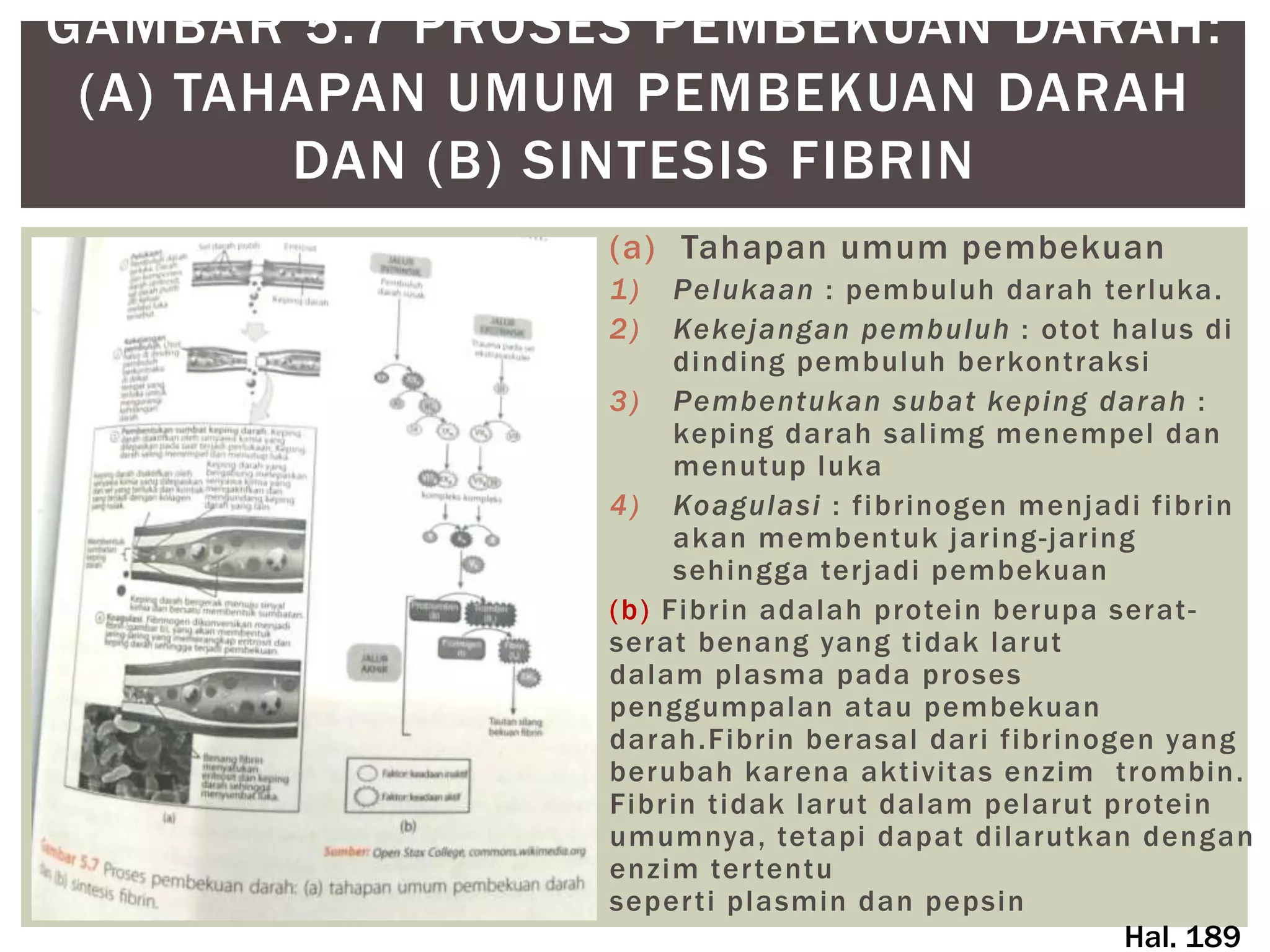 Penjelasan gambar bab 5 sirkulasi darah | PPTX