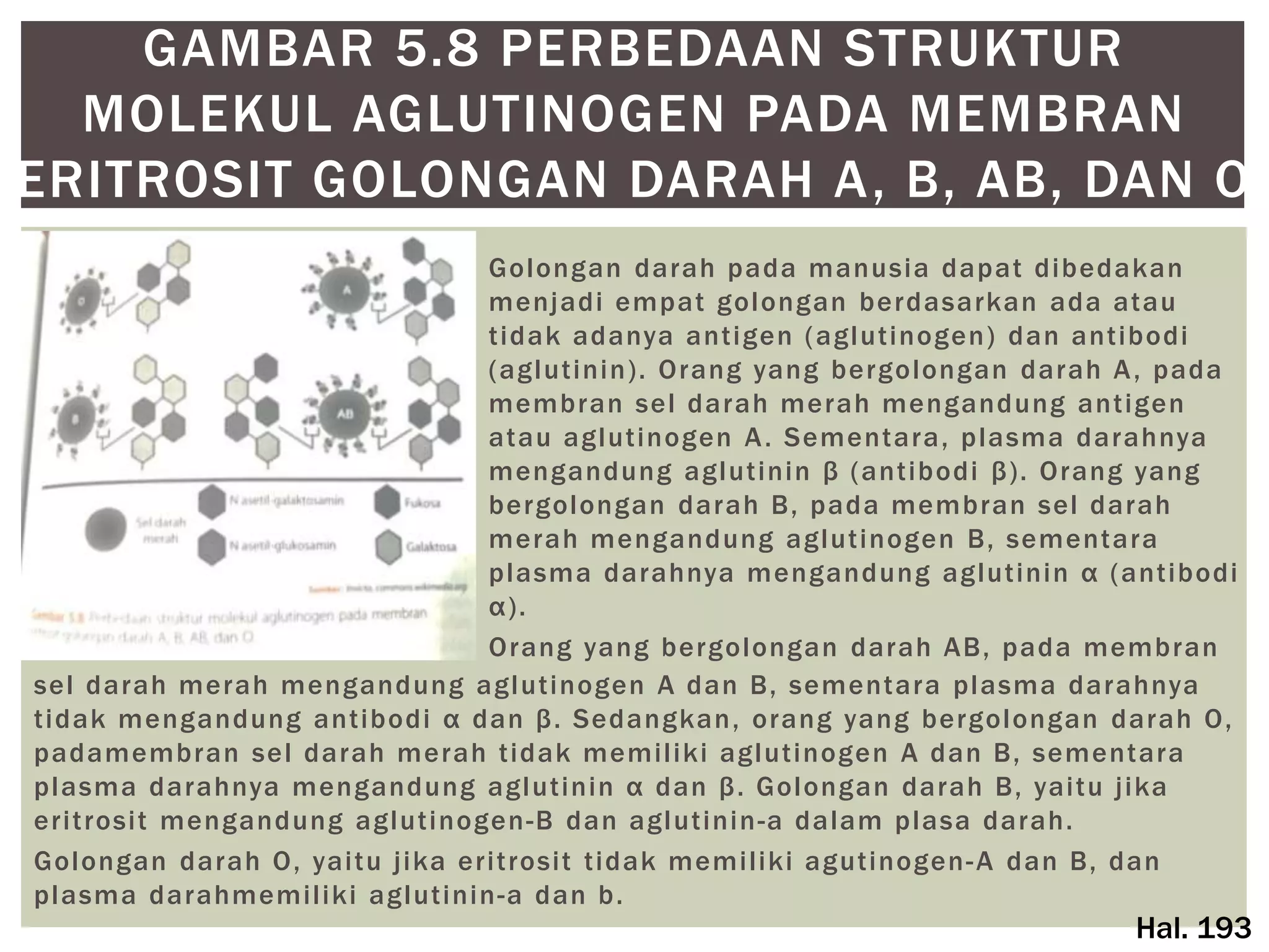 Penjelasan gambar bab 5 sirkulasi darah | PPT