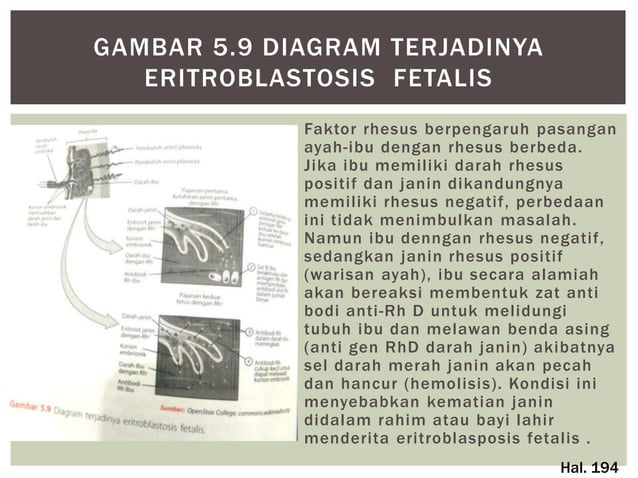 Penjelasan gambar bab 5 sirkulasi darah | PPTX