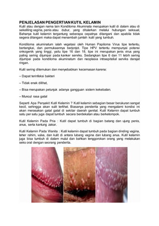 Penjelasan kutil kelamin | DOCX