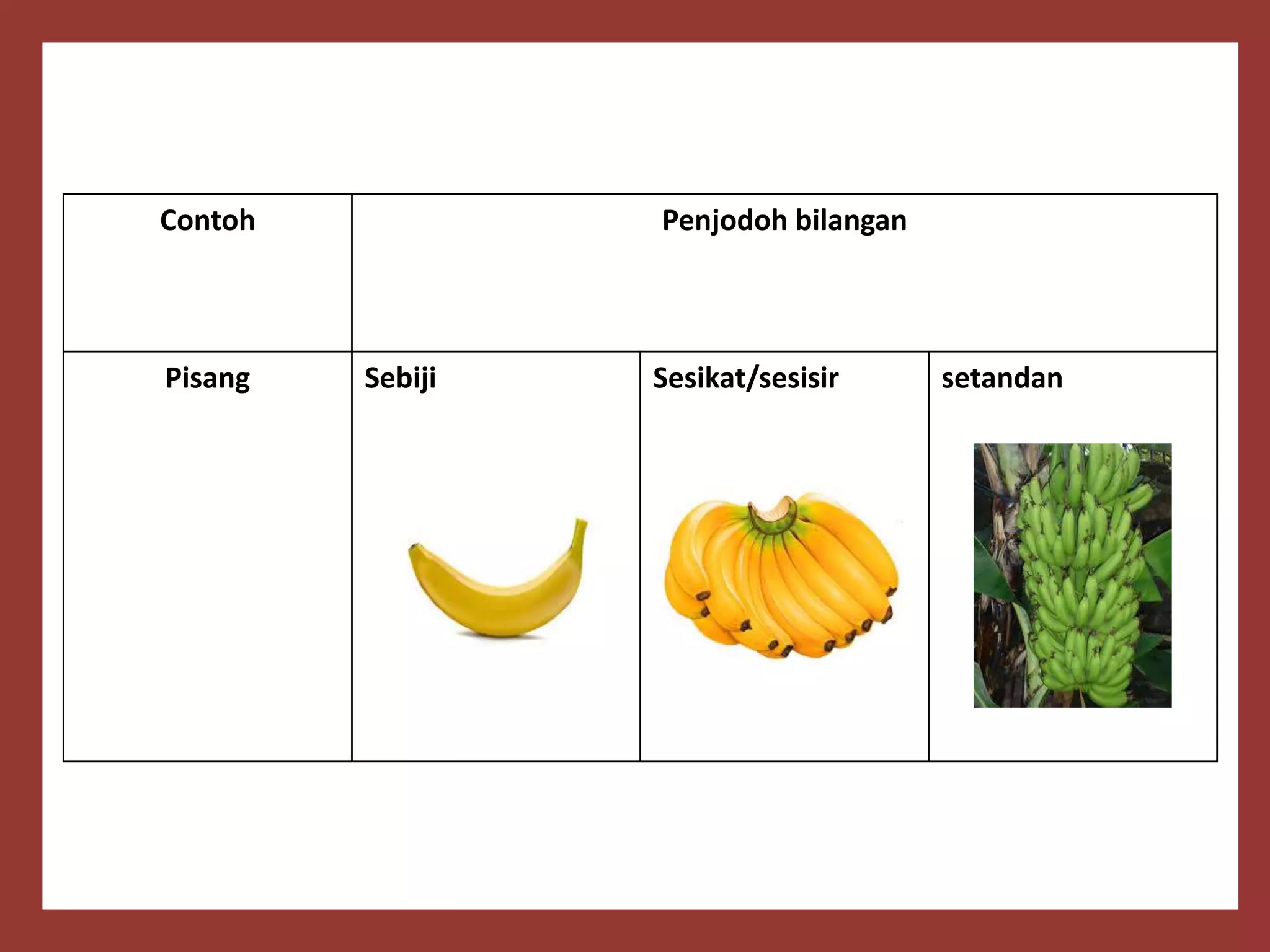 Penjodoh bilangan tahun 2.pptx