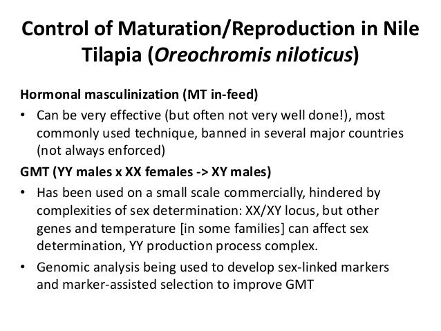Tilapia Sex Reversed By Naela Shahid 6041