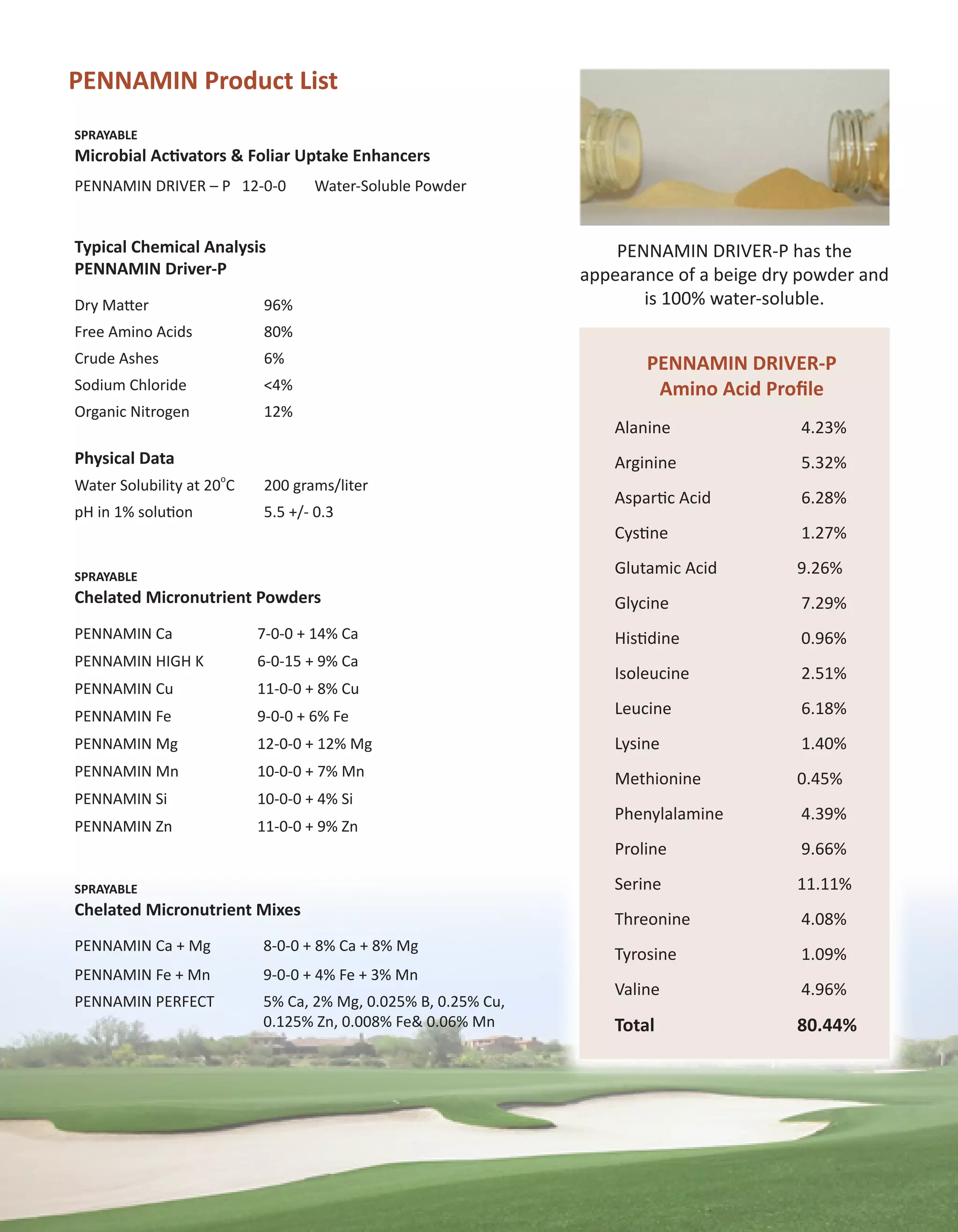 Pennamin Brochure-2015 | PDF