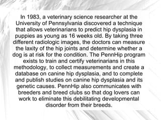 PennHip Fights Canine Hip Dysplasia | PPT