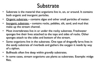 Pennsylvania Drainage Patterns | PPT