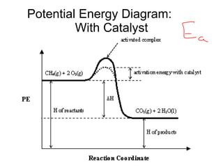 Potential Energy Diagram With Catalyst