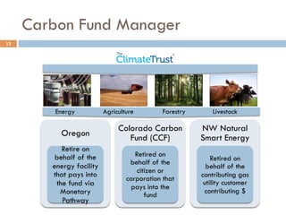 Carbon Mechanisms, Markets, and Projects | PDF