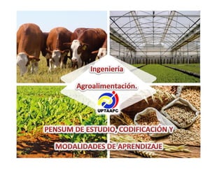 pensus de PNF agroalimentación PDF.pdf