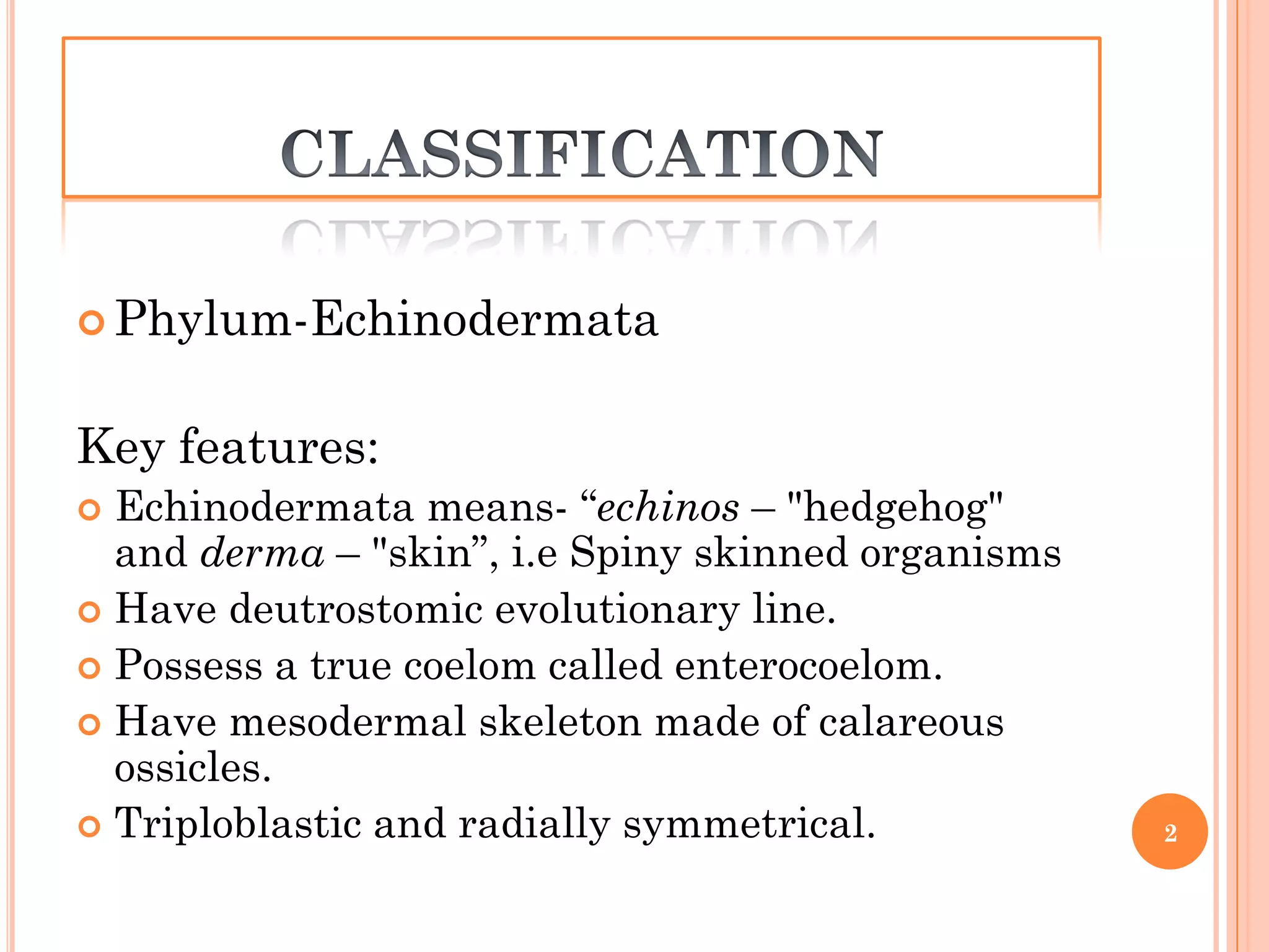 Pentaceros starfish, biodiversity, animal science, zoology, biology | PDF