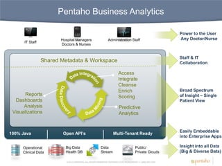 Pentaho Healthcare Solutions | PDF