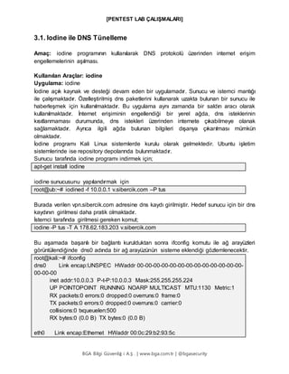 INTERNET VE YEREL AĞ SIZMA TESTLERİ | DOCX