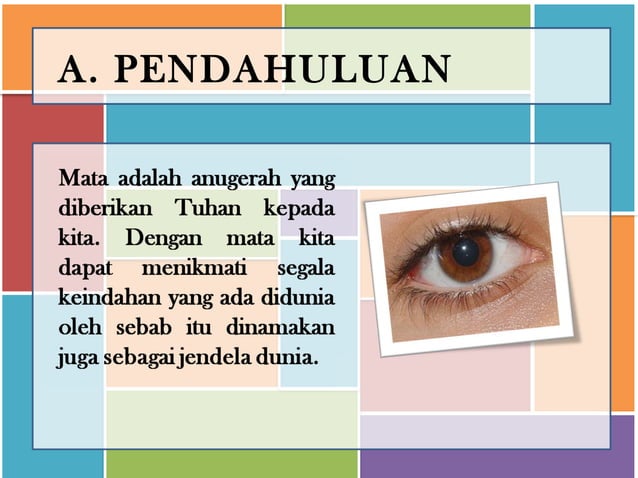 Pentingnya menjaga kesehatan mata | PPT