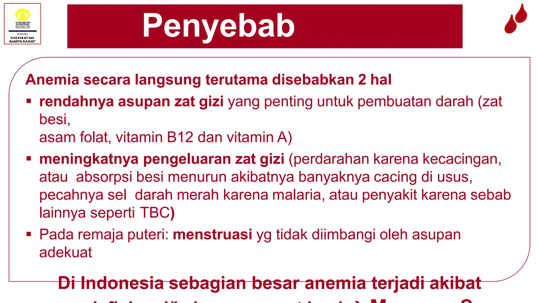 Pentingnya Penerapan Gizi Seimbang dan konsumsi TTD Pada Remaja untuk ...