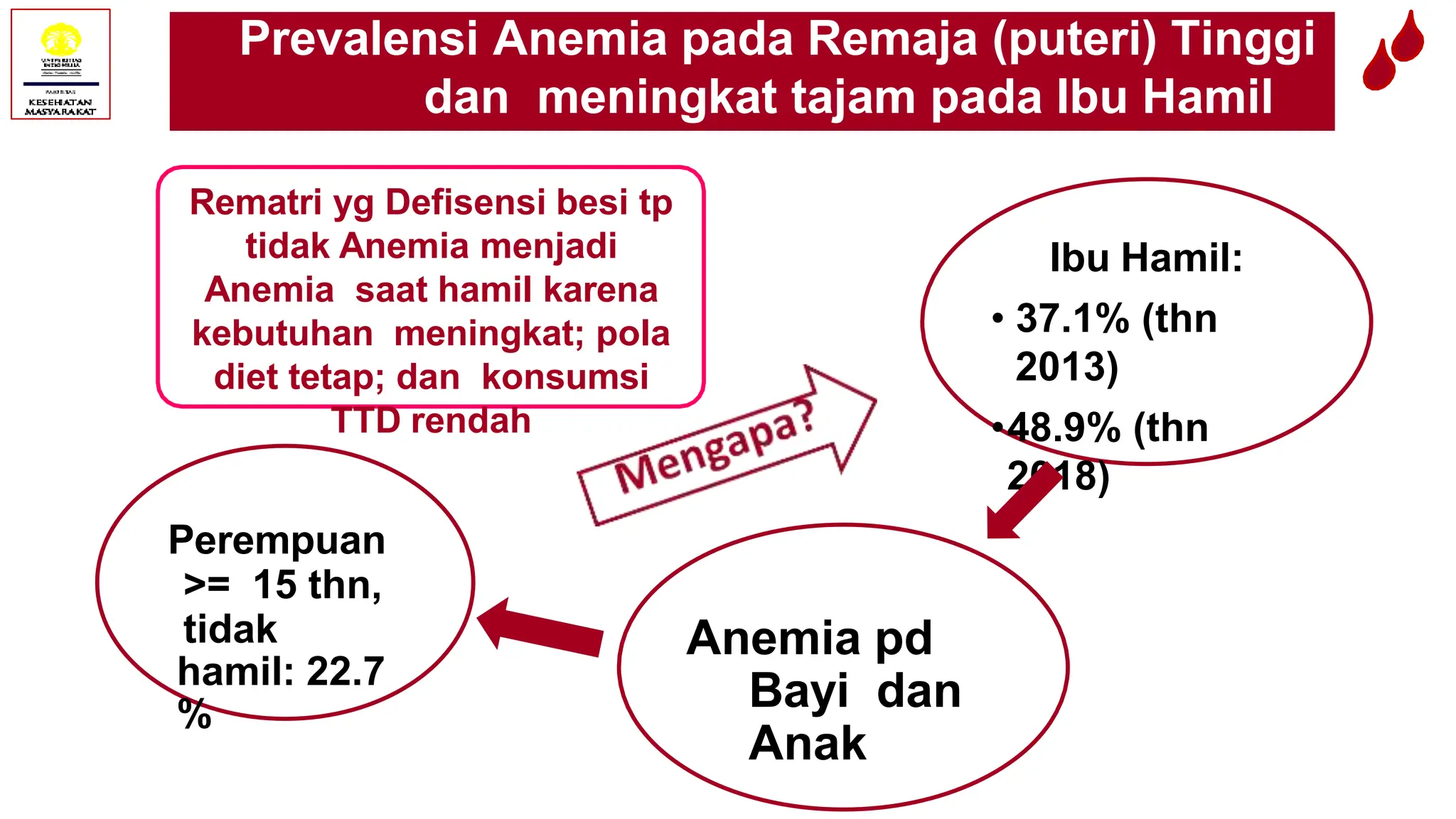 Pentingnya Penerapan Gizi Seimbang dan konsumsi TTD Pada Remaja untuk ...
