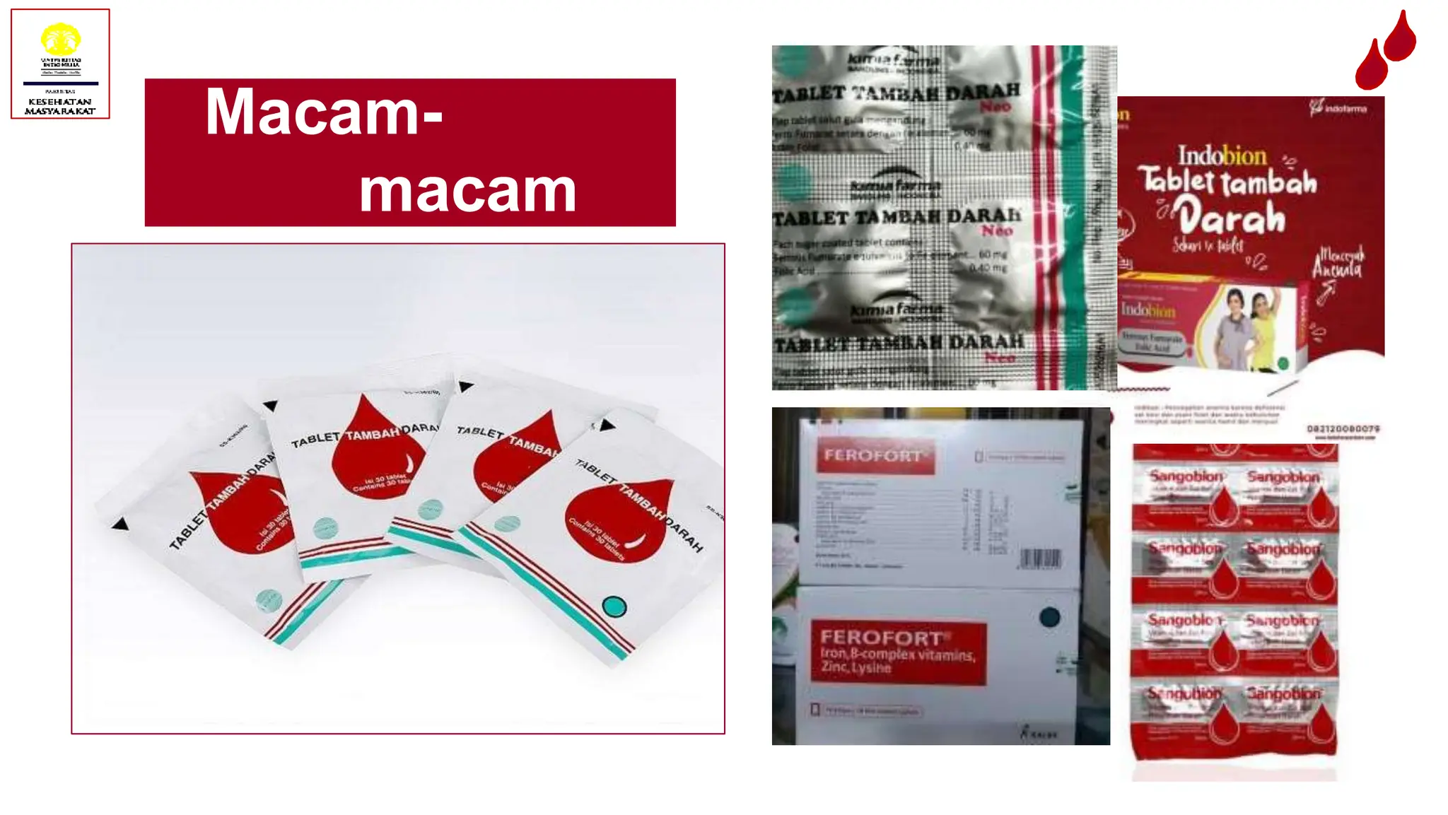 Pentingnya Penerapan Gizi Seimbang dan konsumsi TTD Pada Remaja untuk ...