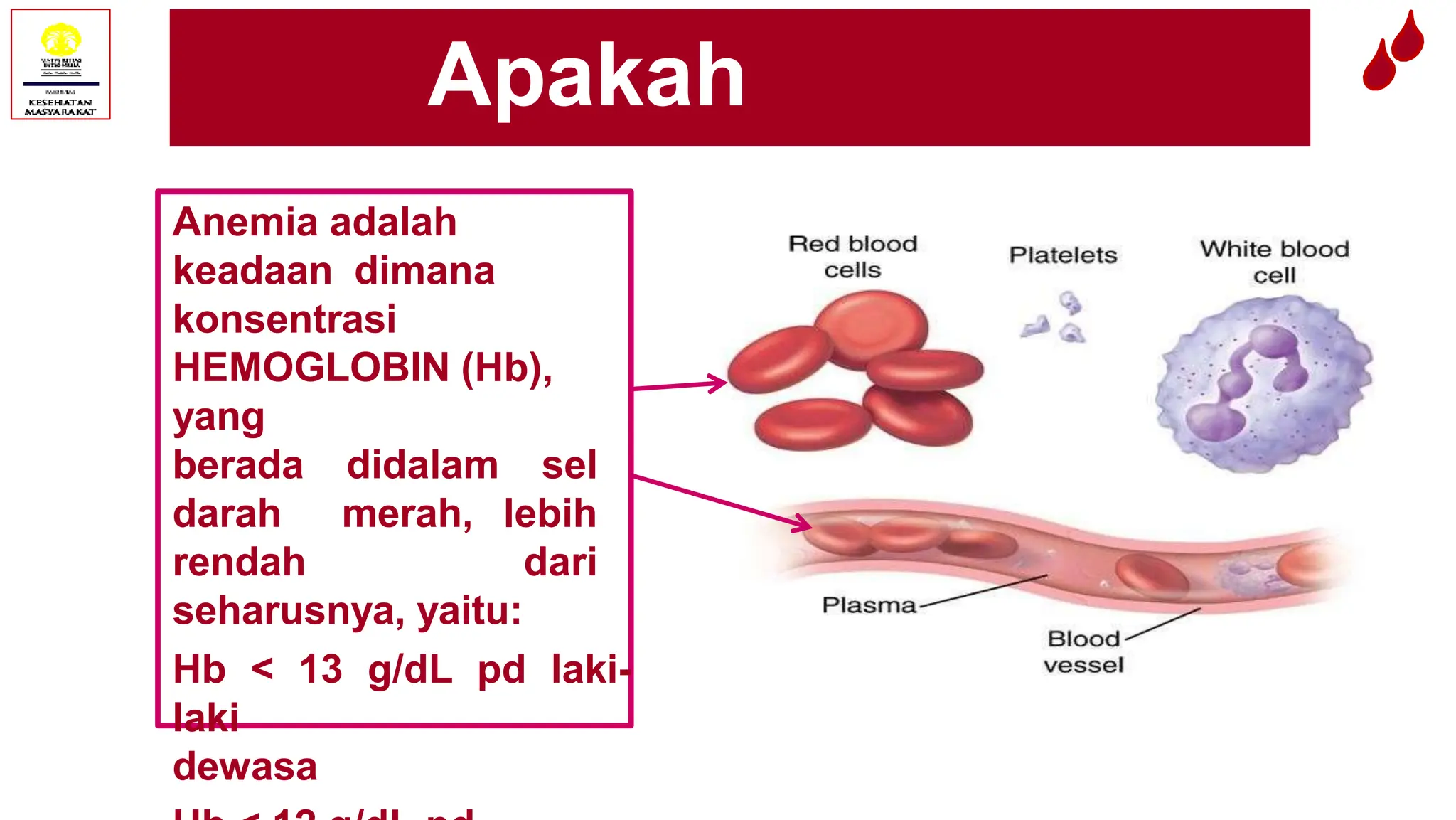 Pentingnya Penerapan Gizi Seimbang dan konsumsi TTD Pada Remaja untuk ...