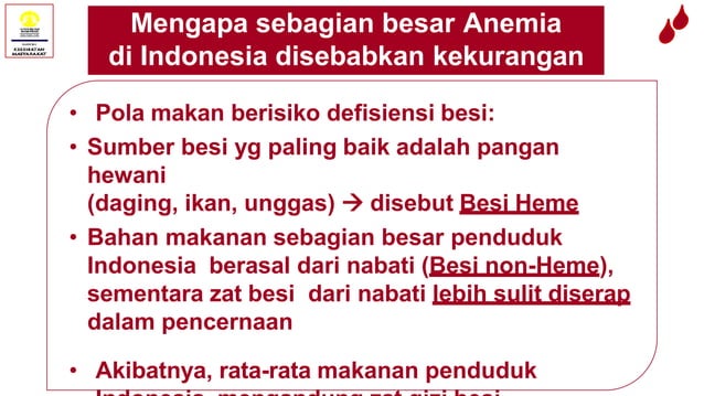 Pentingnya Penerapan Gizi Seimbang dan konsumsi TTD Pada Remaja untuk ...