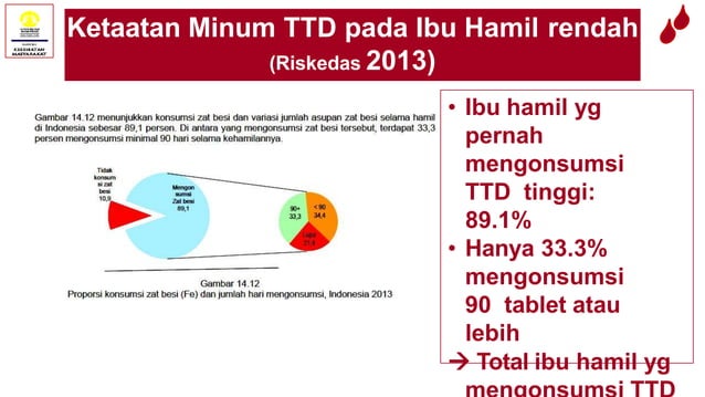 Pentingnya Penerapan Gizi Seimbang dan konsumsi TTD Pada Remaja untuk ...