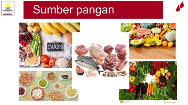 Pentingnya Penerapan Gizi Seimbang dan konsumsi TTD Pada Remaja untuk ...