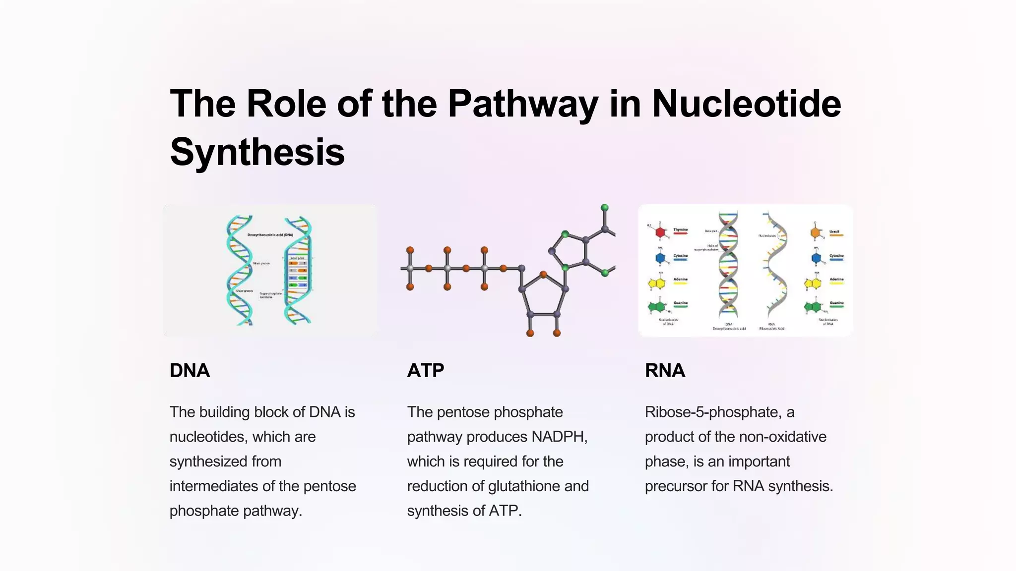 Pentose-phosphate-pathway (3).pptx
