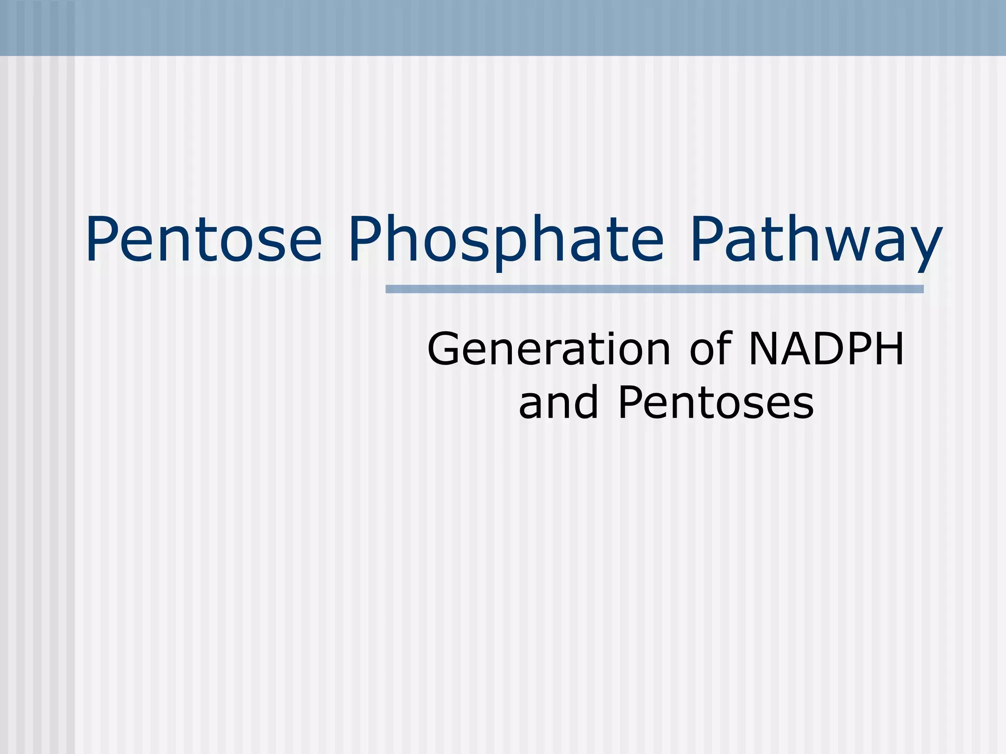 Pentose phosphate pathway | PPT
