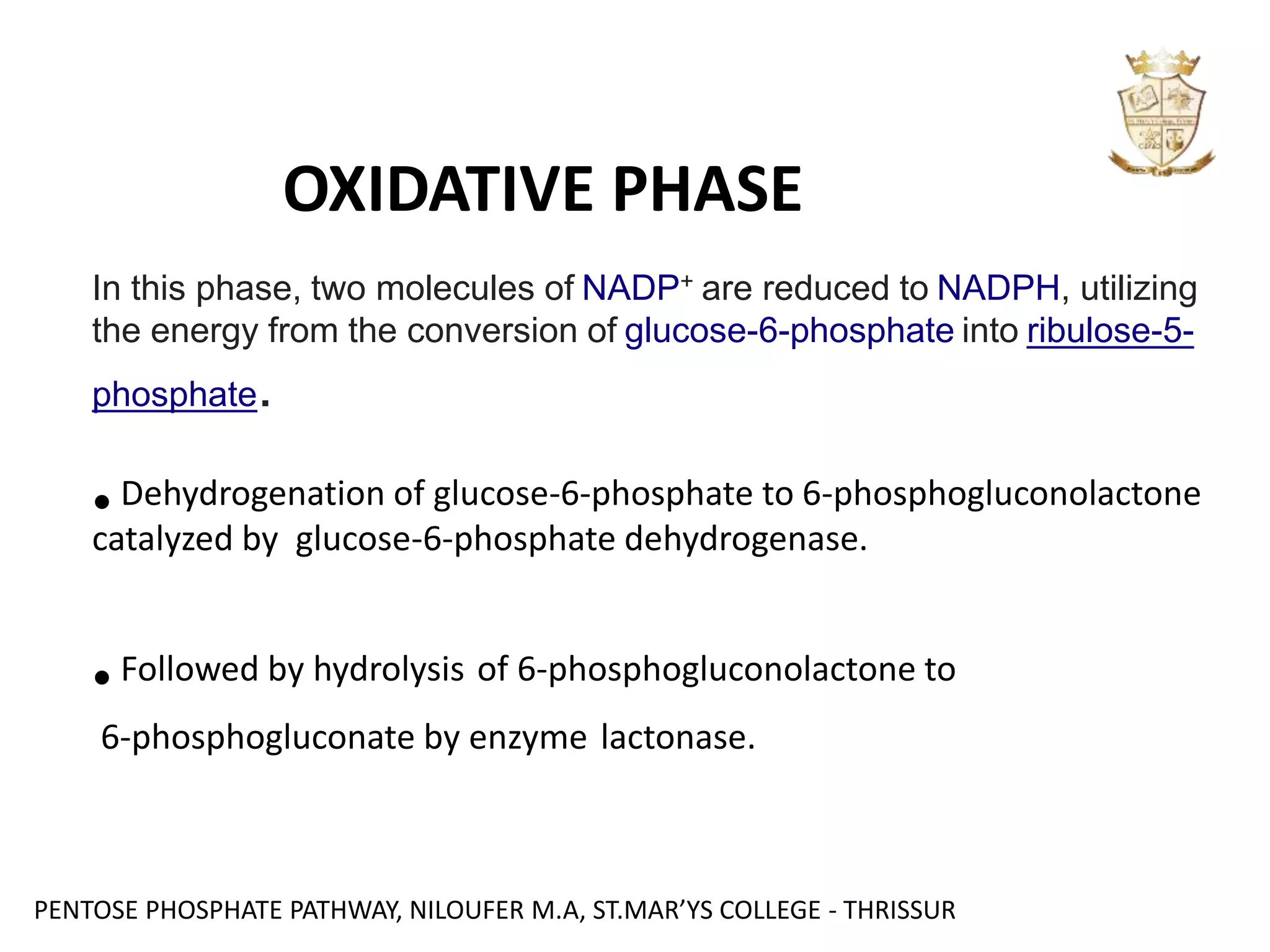 Pentose phosphate pathway | PPTX