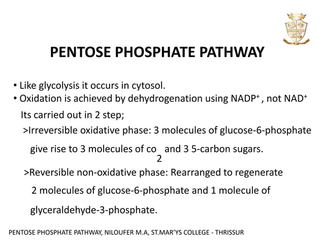 Pentose phosphate pathway | PPTX