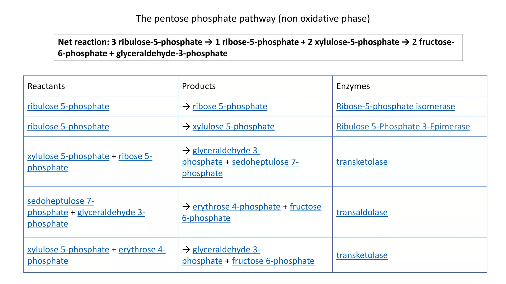 Pentose phosphate pathway | PPTX