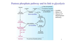 Pentose phosphate pathway | PPTX