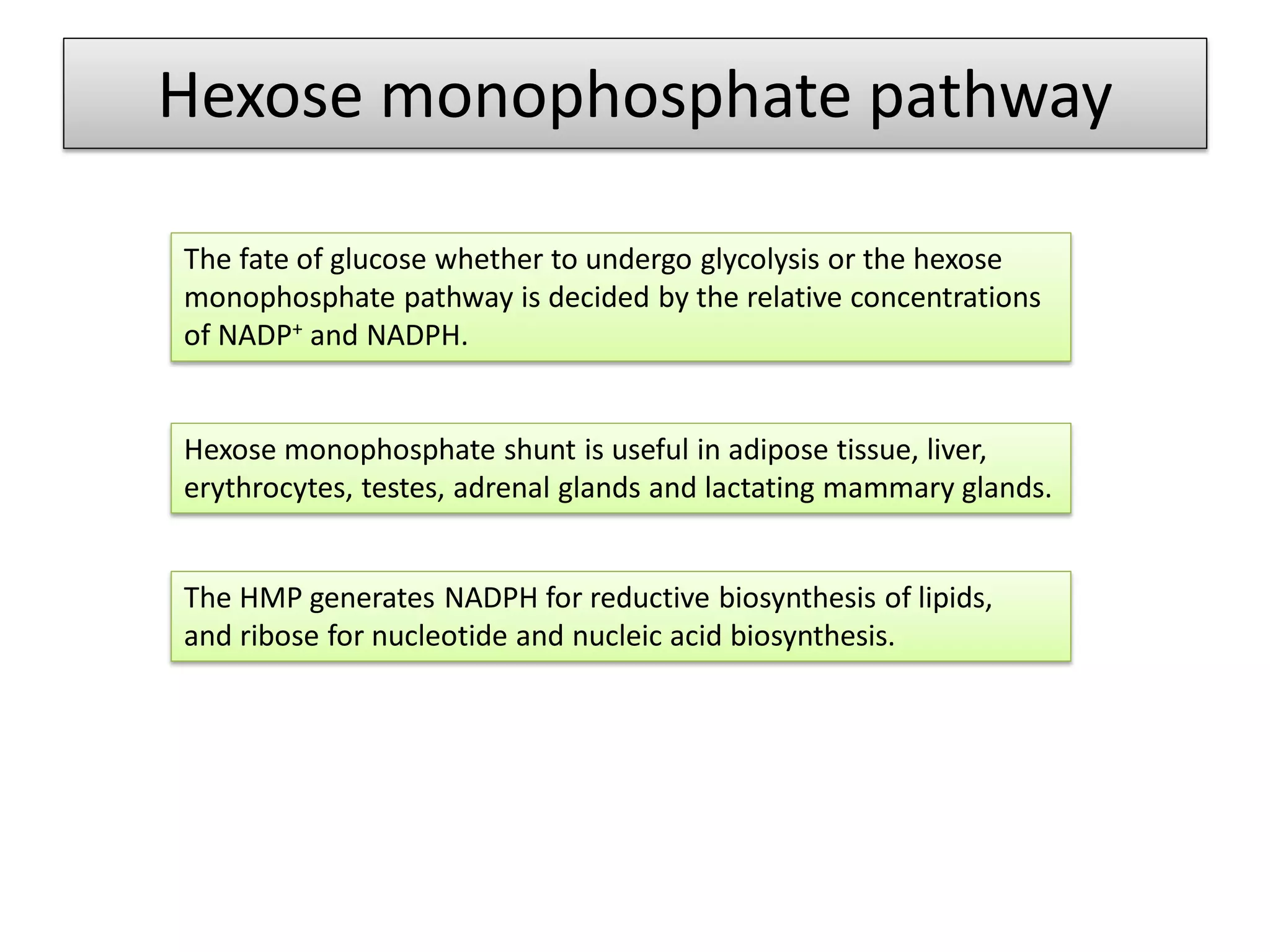 Pentose phosphate pathway (Hexose Monophosphate Pathway) | PDF