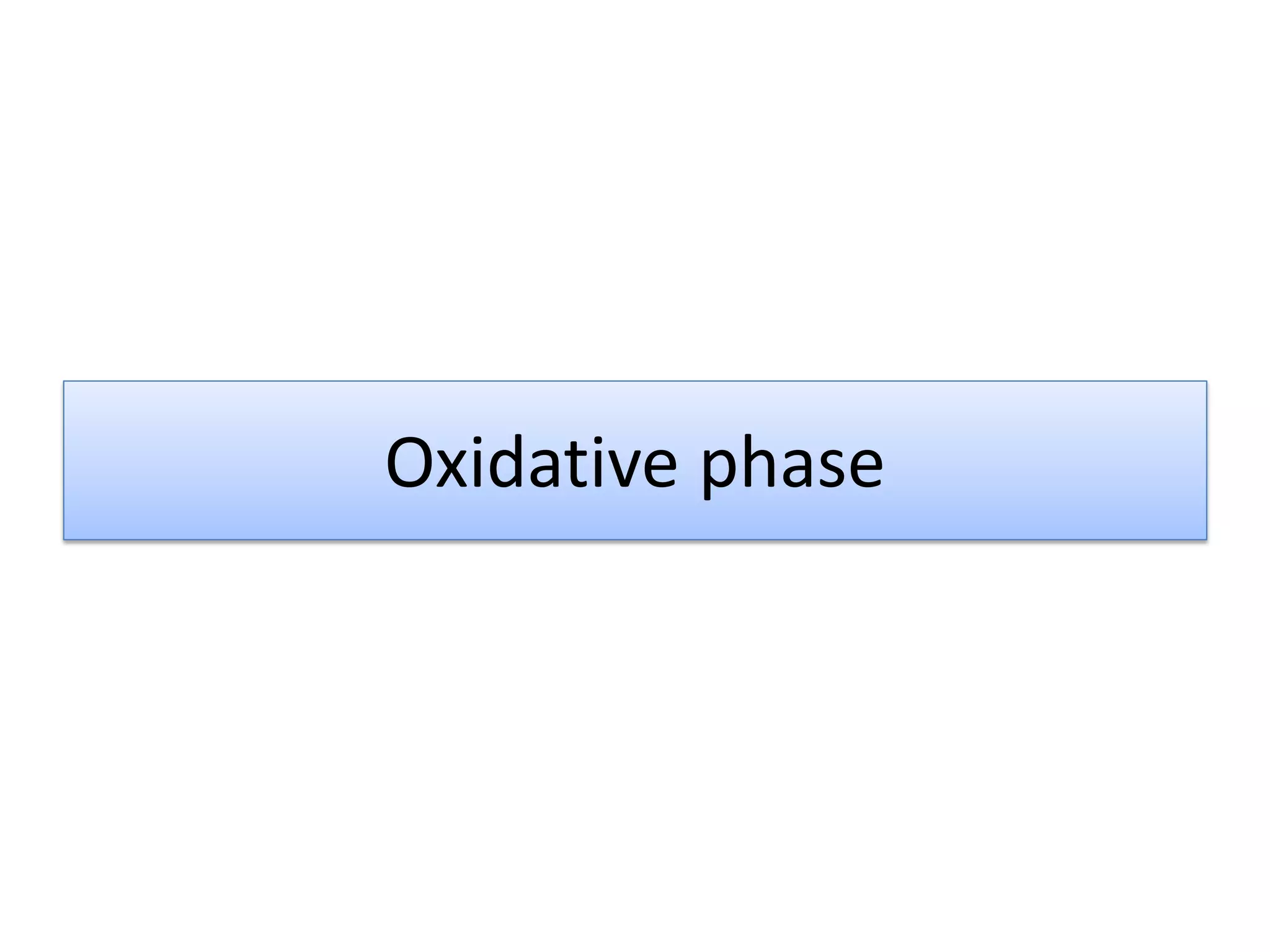 Pentose phosphate pathway (Hexose Monophosphate Pathway) | PDF
