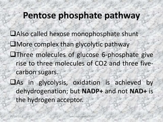 Pentose phosphate pathway | PPT