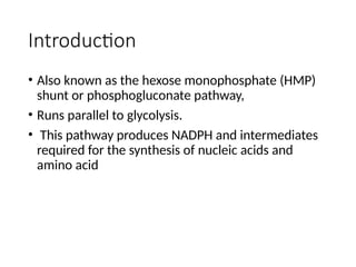 Pentose phosphate pathway.pptx. biochemistry | PPTX