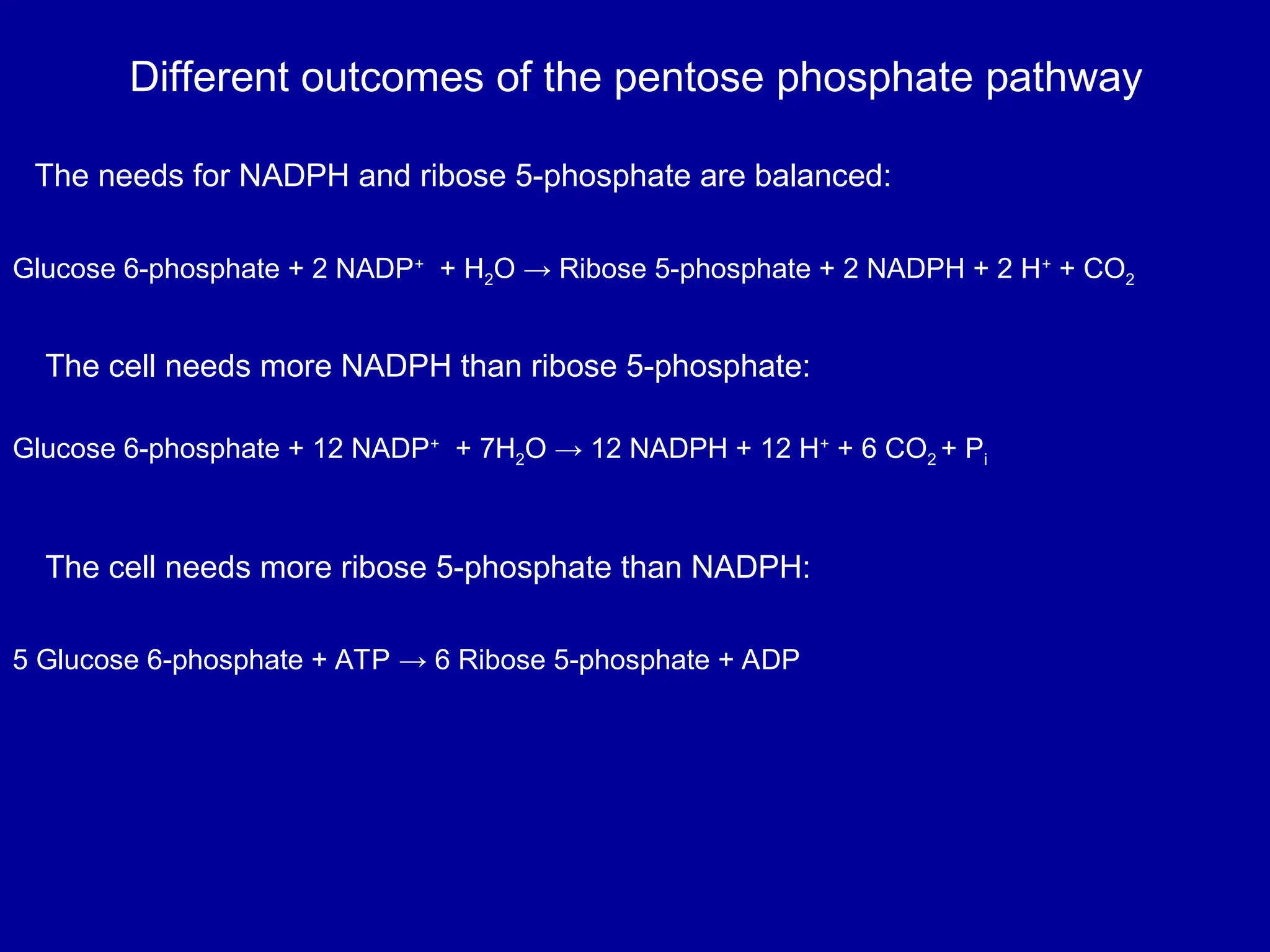 PENTOSE PHOSPHATE PATHWAY PPP pathway.ppt