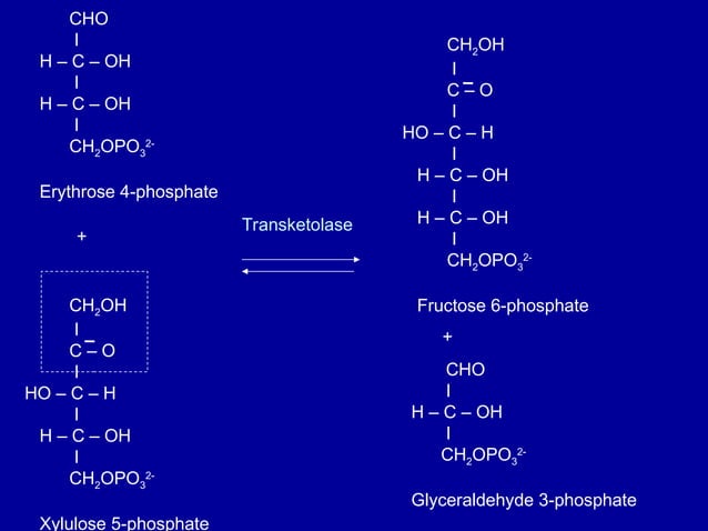PENTOSE PHOSPHATE PATHWAY PPP pathway.ppt