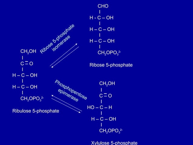PENTOSE PHOSPHATE PATHWAY PPP pathway.ppt