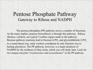 Pentose Phosphate Pathway and its process | PPT