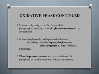Pentose Phosphate Pathway in human .pptx