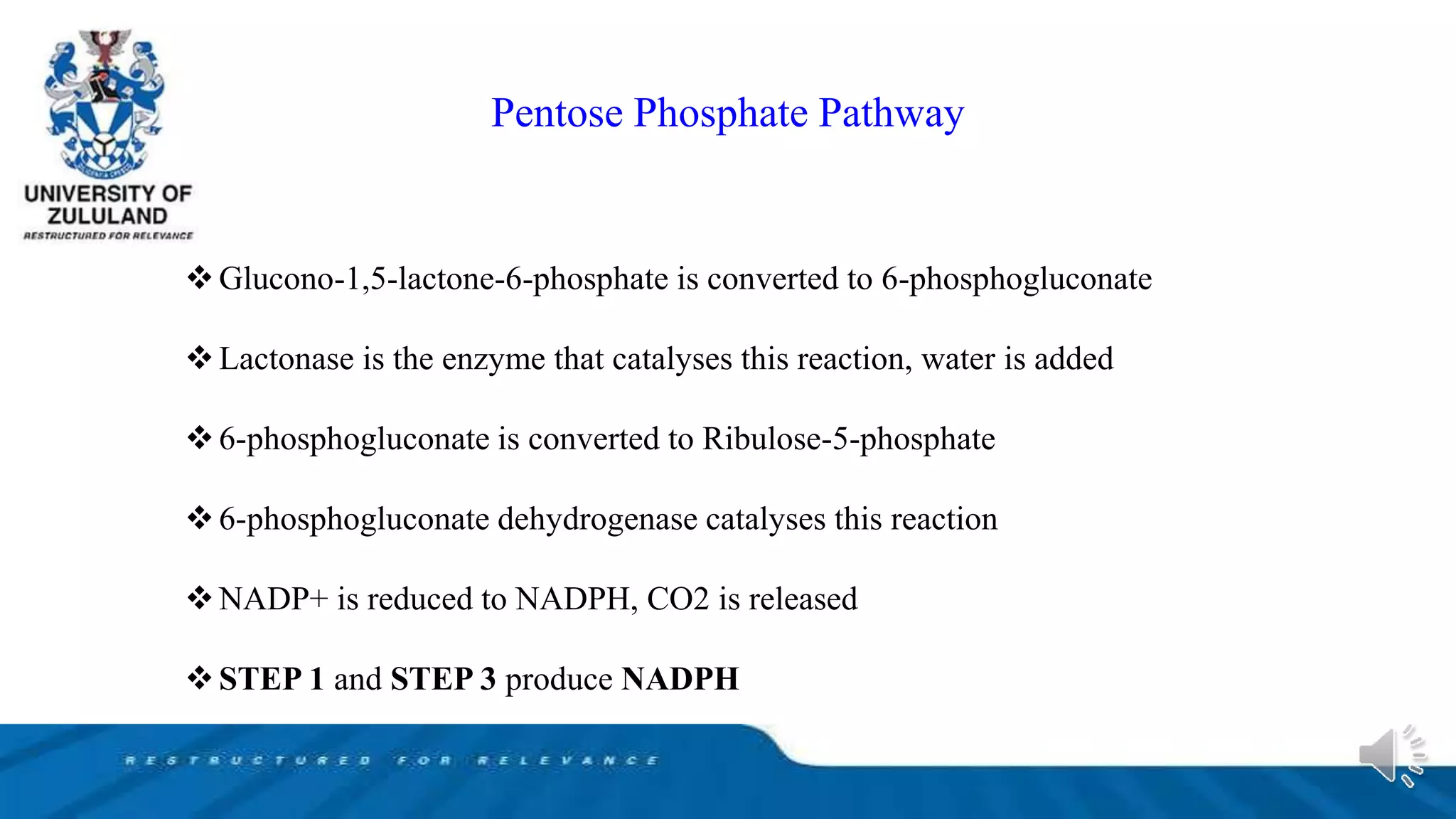 Pentose phosphate pathway- Revision.pptx