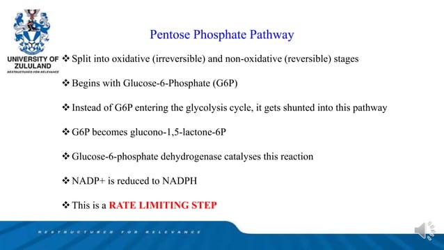 Pentose phosphate pathway- Revision.pptx