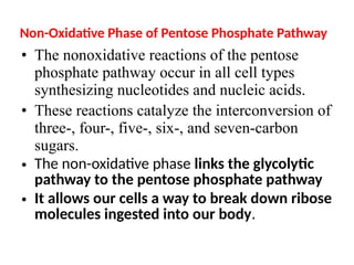 pentose phosphate pathway biochemistry topic | PPTX